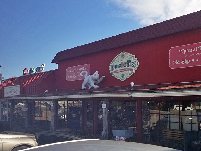 The iconic red storefront of Curiosities beckons with its playful white cat mascot, promising treasures that defy the ordinary shopping experience.