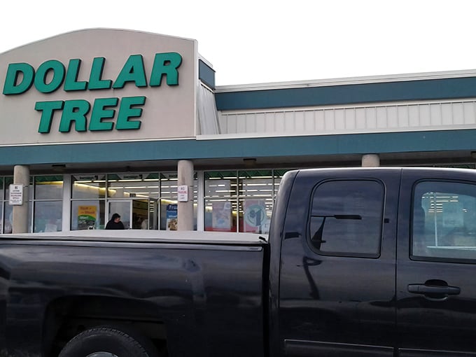 The iconic green Dollar Tree sign beckons like a budget-friendly lighthouse, guiding savvy shoppers to the promised land of affordable treasures.