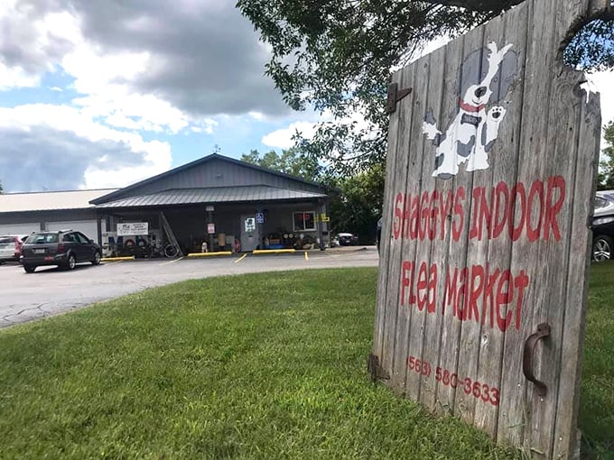 That hand-painted wooden sign says it all: adventure awaits behind those doors, with Shaggy the dog standing guard over decades of memories.