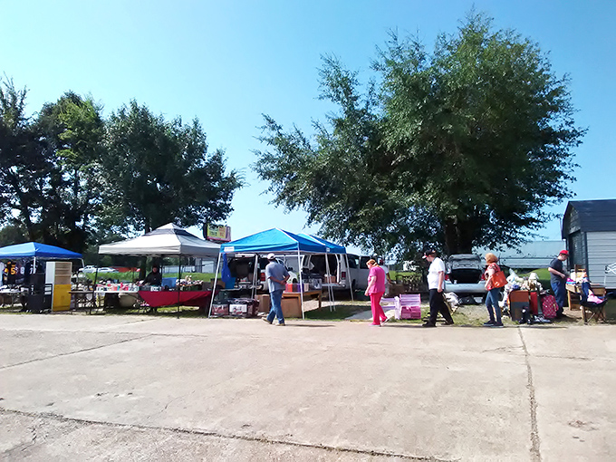 Blue skies and bargain hunters unite under colorful canopies, where one person's castoffs become another's treasures in this weekend ritual of discovery.