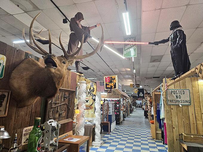 Where Star Wars meets taxidermy! The main aisle of 49 Flea Market showcases an impressive mounted deer head alongside pop culture collectibles.