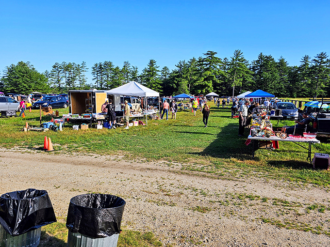 Rows of colorful tents stretch across this Warner field like a treasure hunter's convention come to life.