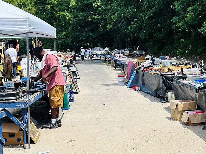 Summer sunshine illuminates this bargain-seeker's paradise. Vendors arrange their wares while early birds scan for that perfect find among the organized chaos.