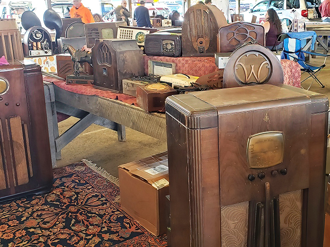 Vintage radios that once brought families together now wait for new homes. Each wooden cabinet holds decades of broadcast history and countless forgotten melodies.