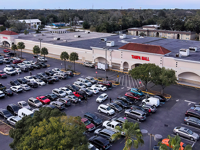 Inside this bargain wonderland, every aisle promises treasures your wallet will actually thank you for finding.