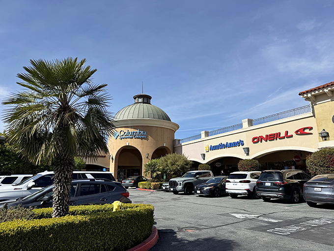 Desert-adapted plants frame the entrance sign, a drought-tolerant welcome to this shopper's paradise.