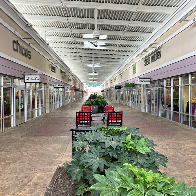 Spacious walkways lined with greenery make shopping feel less like a chore and more like a stroll through a well-dressed garden. Retail therapy with actual therapy.