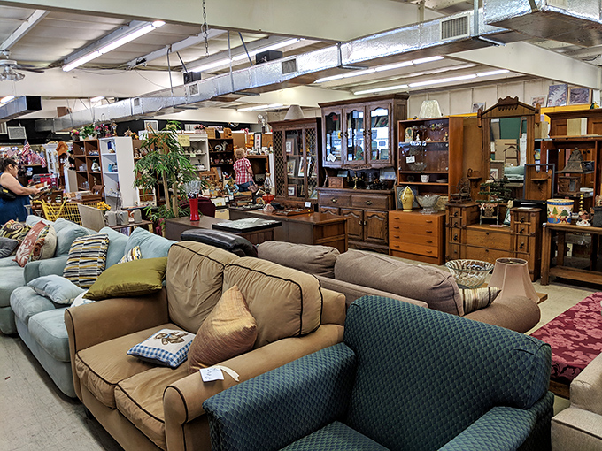 Furniture heaven awaits! That purple sofa might have witnessed decades of family movie nights before finding its way to this secondhand sanctuary.