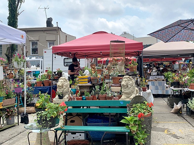 A garden oasis amid urban concrete, where stone lions guard treasures and colorful pots burst with life under cheerful red tents.