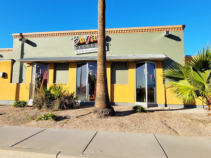 The desert-hued exterior of Buffalo Exchange stands like a fashion oasis in Tucson, palm trees providing natural shade.