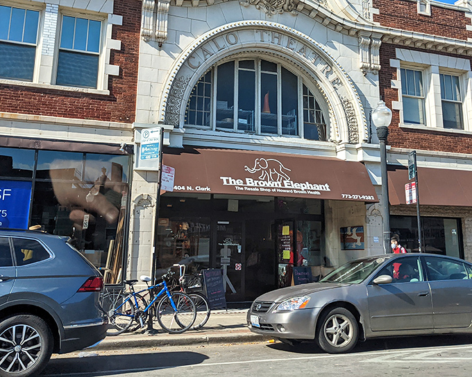 The grand facade of Brown Elephant beckons with its historic arched window and classic Chicago architecture. Thrift shopping never looked so dignified.
