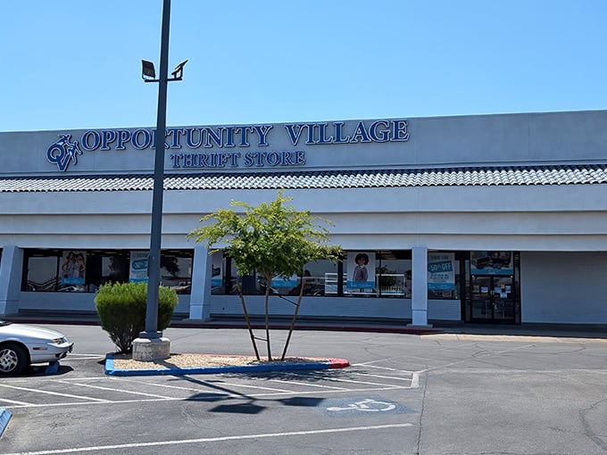 The unassuming exterior that houses more treasures than a pirate's secret map could promise.