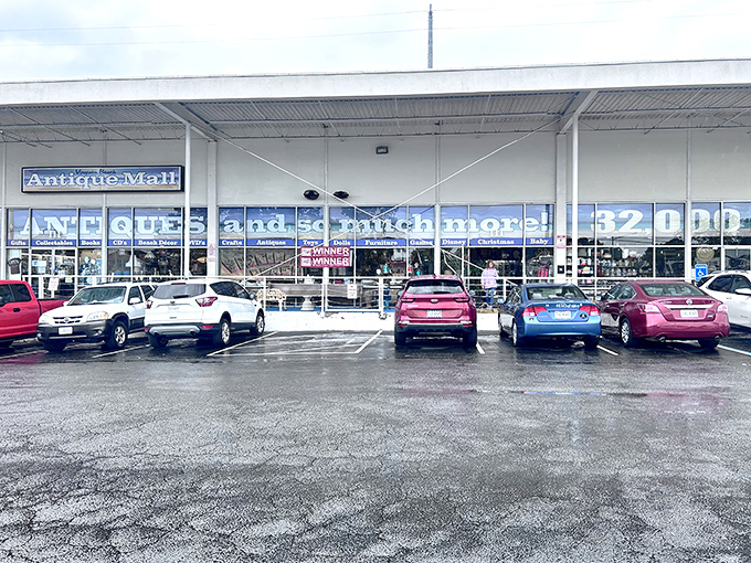 The unassuming storefront belies the treasure trove within &ndash; like finding a portal to the past hiding in plain sight at a suburban strip mall.