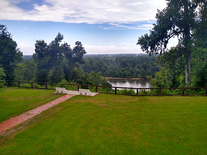 The view that makes you question your Florida GPS. Limestone bluffs and the winding Apalachicola River create a scene more Appalachian than tropical.