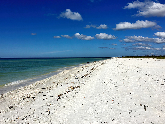 Miles of untouched shoreline stretch before you, where the only footprints might be your own. This is Florida before the high-rises took over.