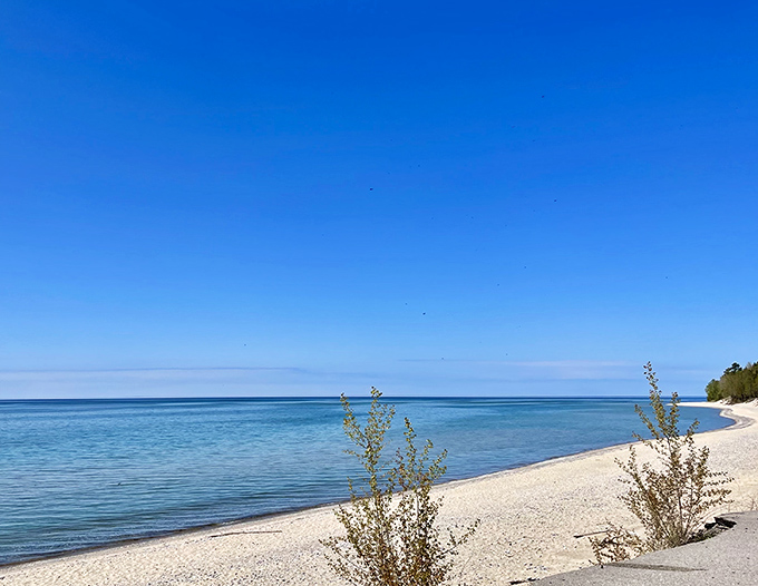 Mother Nature's Caribbean cosplay! The impossible blues of Lake Michigan stretch to the horizon, making you wonder if you took a wrong turn at Traverse City.