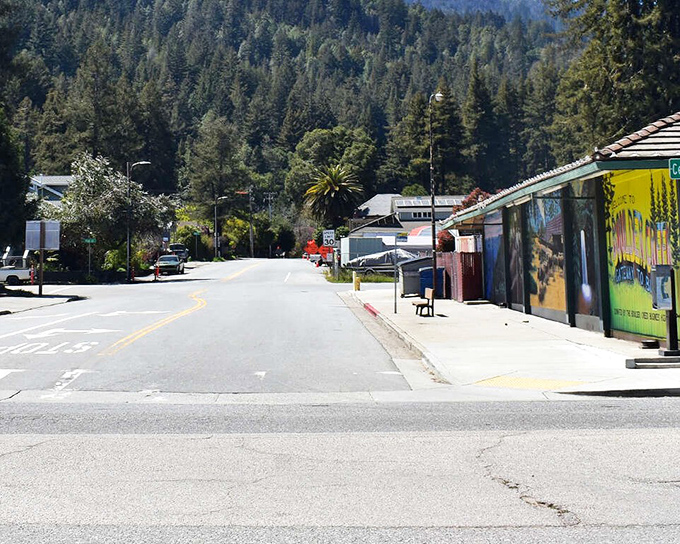 Where redwoods stand sentinel over quiet streets. Boulder Creek's mountain backdrop provides natural air conditioning and a daily dose of perspective.