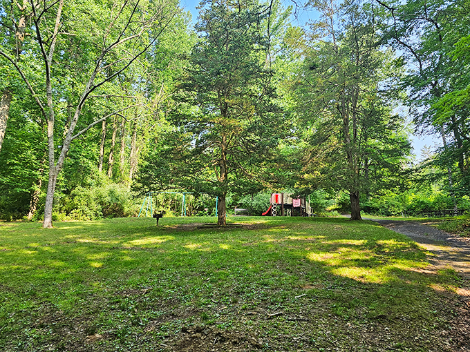A sun-dappled clearing where memories are made. This picnic area offers the perfect respite after exploring Hacklebarney's winding trails.