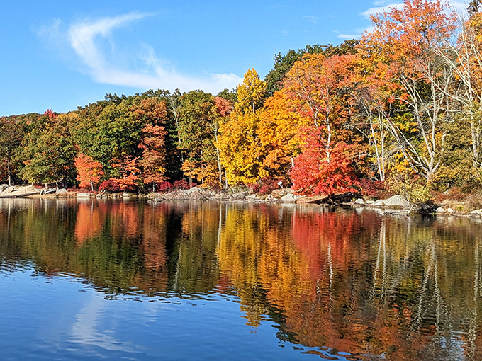 Nature's own kaleidoscope! Fall foliage creates a perfect mirror image on the glassy lake surface, doubling the visual feast for lucky visitors.