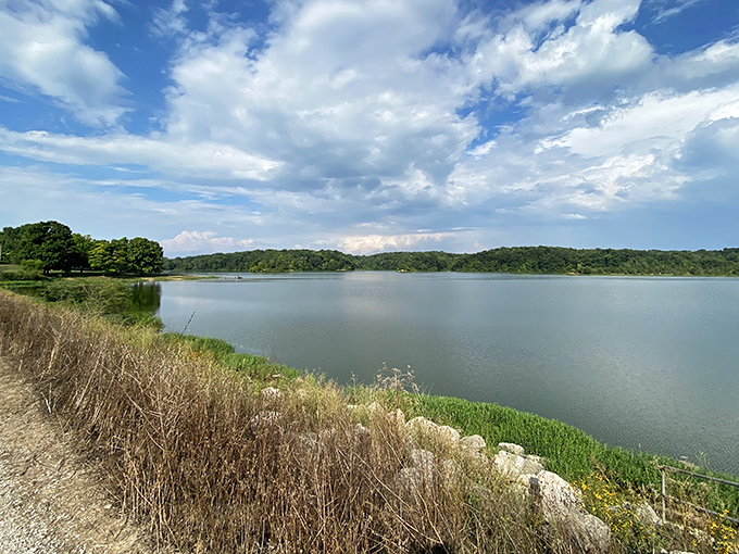 Mother Nature showing off her autumn palette at A.W. Marion State Park, where maple trees transform the shoreline into a fiery spectacle.