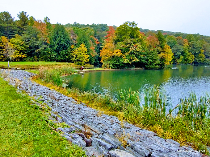 When fall paints Kooser Lake in nature's favorite colors, even your phone's camera can't help but show off.