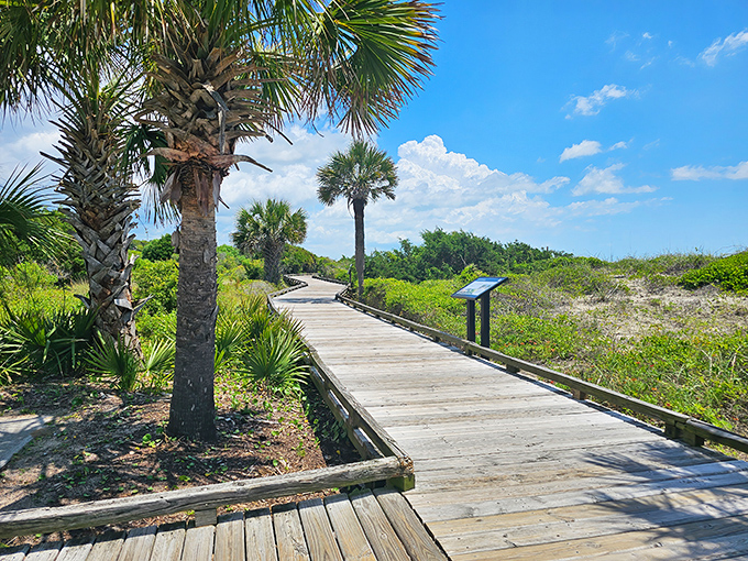 This boardwalk doesn't lead to Oz, but the emerald forest and sapphire sea combo comes pretty close.
