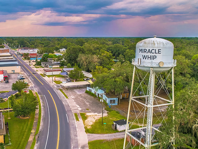 Mayo's iconic "Miracle Whip" water tower stands sentinel over this charming small town, where retirement dollars stretch further than your grandmother's famous casserole recipe.