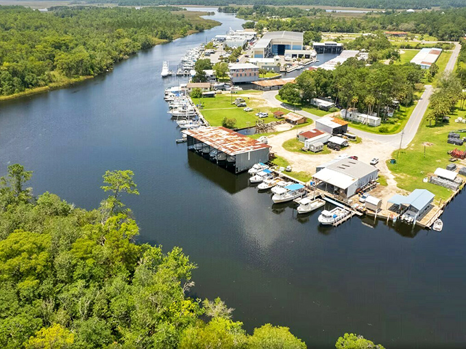 Aerial paradise where water meets wilderness. St. Marks offers the kind of unspoiled Florida coastline that developers dream about paving&mdash;thankfully, nature won this round.