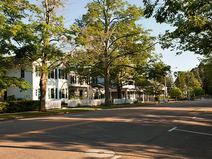 Tree-lined streets and historic white houses create Gambier's storybook setting. Like stepping into a Norman Rockwell painting where time moves at its own leisurely pace.