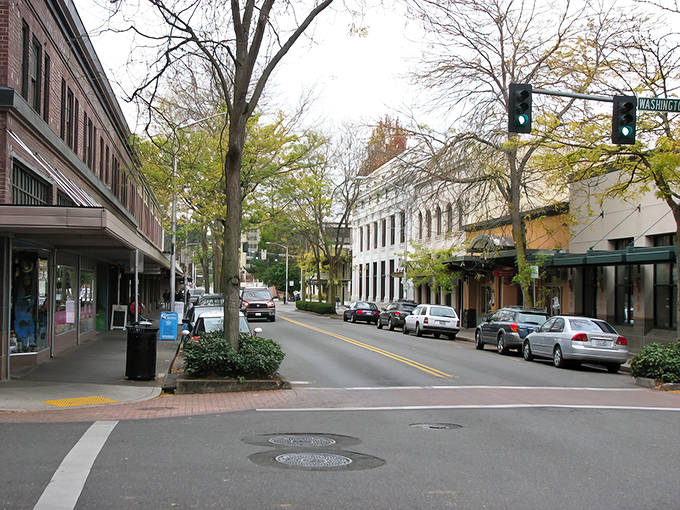 Downtown Olympia's tree-lined streets offer small-town charm with big-city amenities, where vintage streetlamps stand guard over locally-owned shops that haven't surrendered to chain-store invasion.