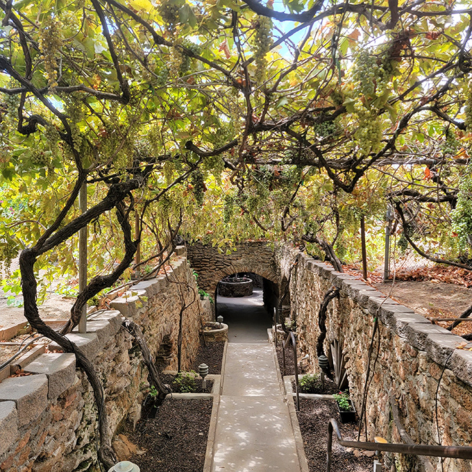 Grapevines creating a natural canopy over hand-carved stone pathways&mdash;like an Italian dream that went delightfully underground.