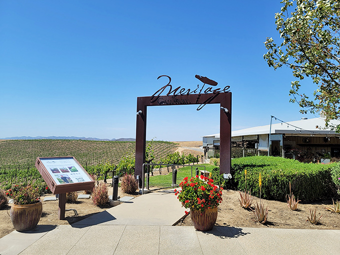 The iconic Meritage entrance frames nature's masterpiece&mdash;vineyards stretching toward mountains like a living postcard of California wine country.