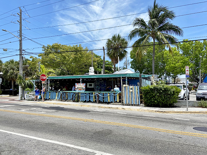 Paradise doesn't need a fancy facade when it's serving conch fritters this good &ndash; just follow the bikes.