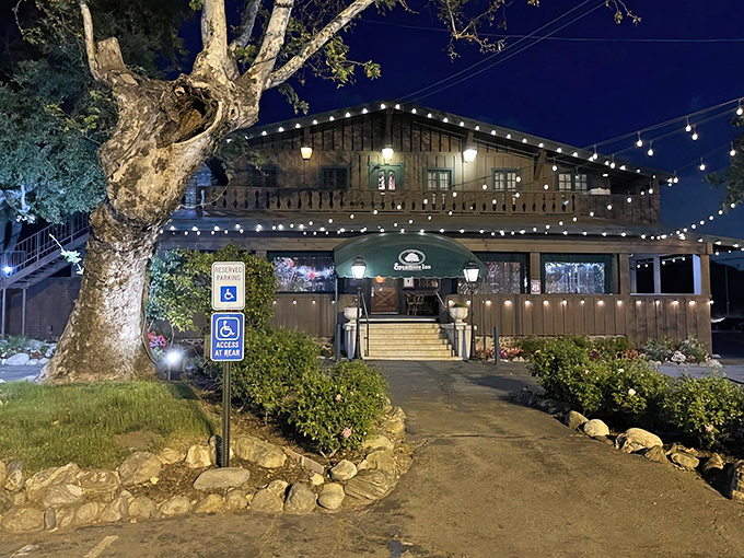 The majestic sycamore tree stands guard like a wise old sentinel, while string lights twinkle above this historic steakhouse as evening falls.