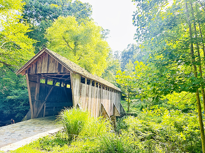 Nature's perfect frame! The Historic Pisgah Covered Bridge stands like a wooden sentinel among vibrant spring foliage, inviting travelers to step back in time.