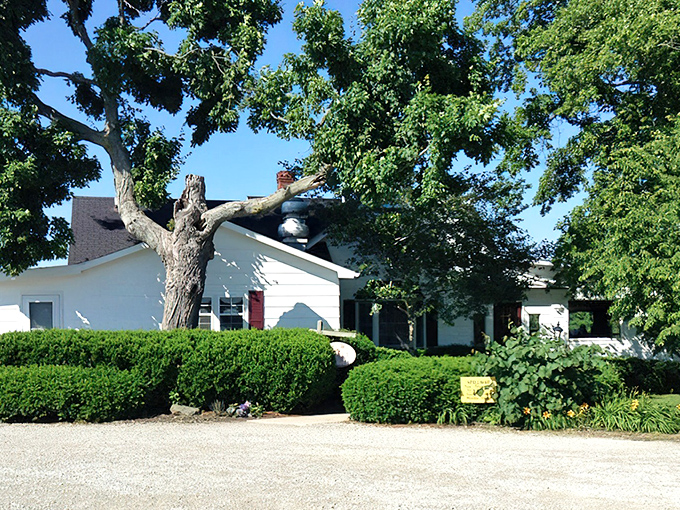 The unassuming white farmhouse exterior of Spillway Lodge proves that culinary greatness often hides in plain sight. Ohio's steakhouse royalty disguised as your grandmother's country home.