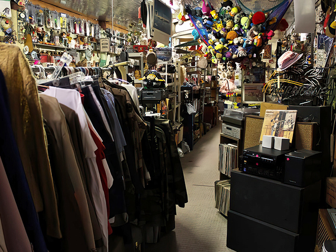 Where taxidermy meets fashion sense! The indoor corridors of Greenwood Flea Market offer everything from vintage clothing to wall-mounted wildlife watching your shopping decisions.