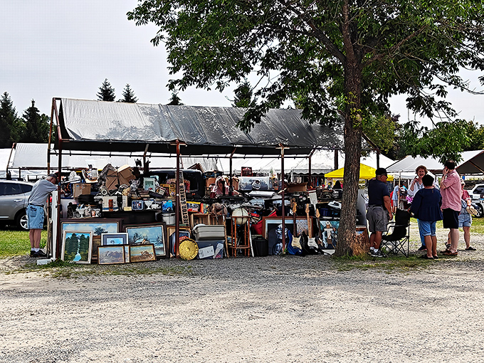 Beneath shady trees, vendors display their wares in a scene that hasn't fundamentally changed since medieval market days. The art of the browse is alive and well.