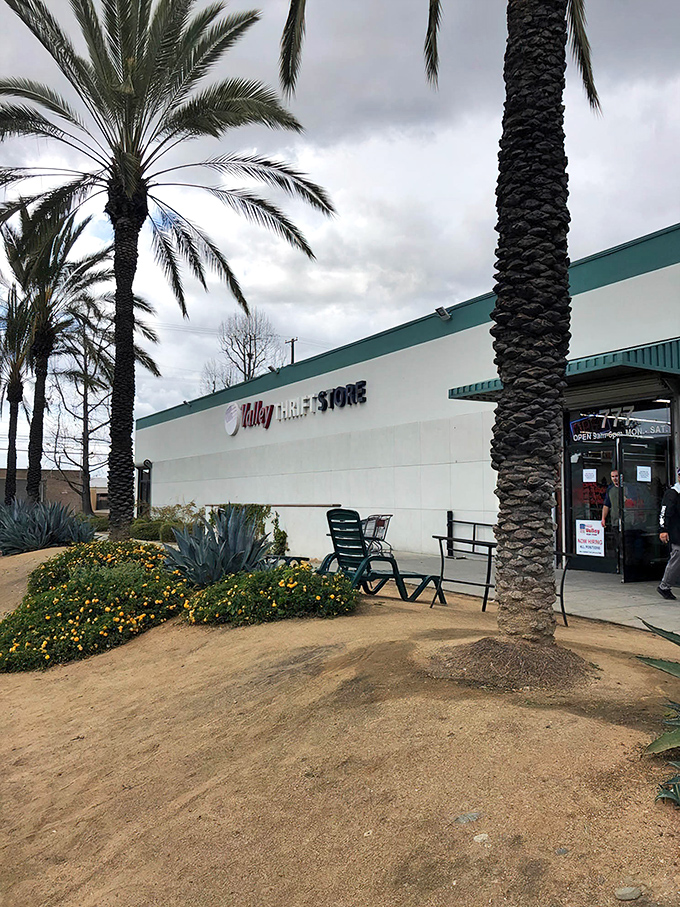 Palm trees stand sentinel outside Valley Thrift Store in Azusa, nature's way of saying "Something wonderful awaits inside this unassuming treasure chest."
