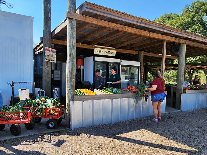 The rustic farm stand at Mick Farms beckons with colorful produce and the promise of agricultural treasures that make supermarket shopping seem like a sad compromise.