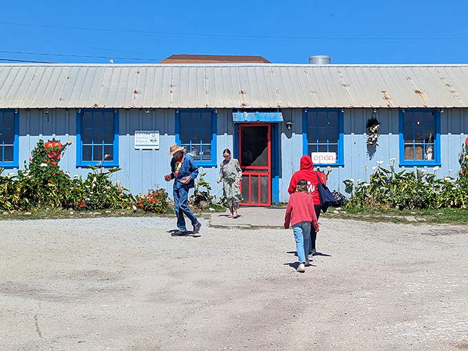 With its bright blue exterior and cheerful red door, this California strawberry farm is as charming as the berries are sweet.