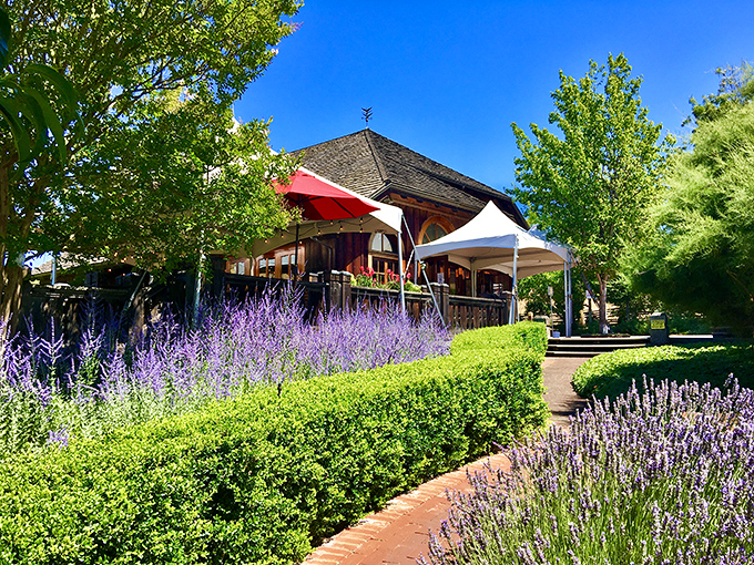 The tasting room beckons with lavender-lined paths and shaded porches &ndash; like your favorite aunt's house, if she happened to make world-class wine.