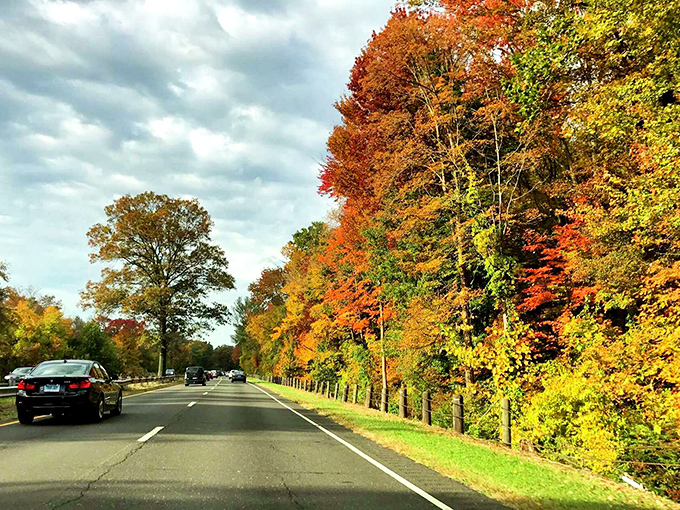 Fall's fiery palette transforms the Merritt Parkway into nature's art gallery, where every curve reveals a new masterpiece.