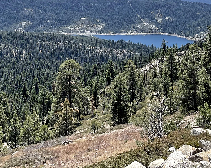 Mother Nature showing off like she's auditioning for a calendar shoot. Silver Lake glistens below, surrounded by a forest so dense it could hide Bigfoot's entire extended family.