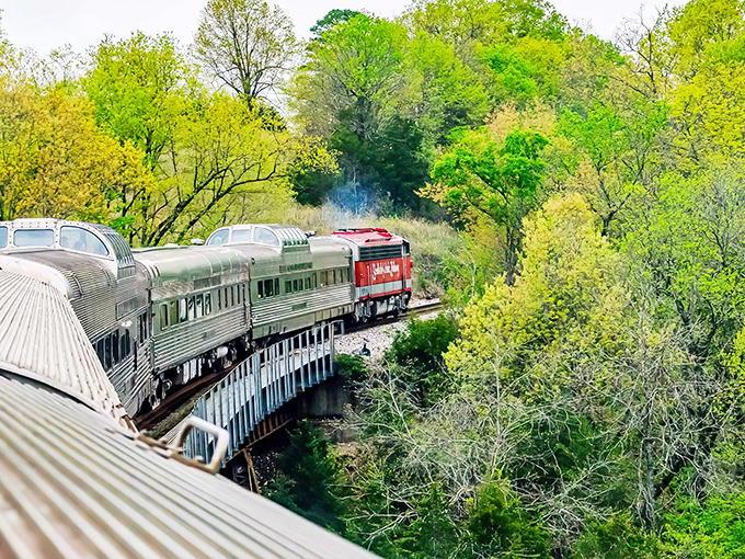 The silver serpent winds through spring's emerald explosion, proving that sometimes the journey truly is the destination.