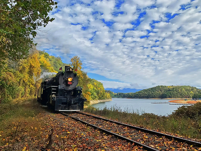 Fall's golden touch transforms this journey into a moving painting. The vintage locomotive glides alongside tranquil waters, mountains standing sentinel in the distance.