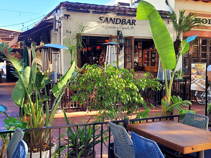 Lush banana plants frame Sandbar's entrance like nature's own velvet rope, creating a jungle-meets-beach atmosphere that whispers, "Your office can't find you here."