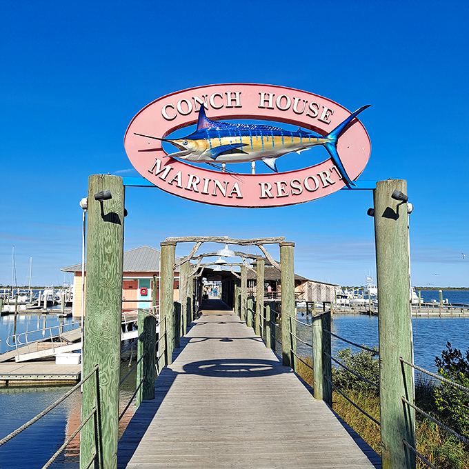 The weathered sign promises the kind of authentic Florida experience that no theme park could ever replicate.