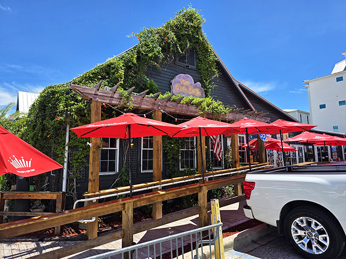 The Red Bar's vine-covered exterior stands like a bohemian oasis amid Santa Rosa Beach's upscale developments, those crimson umbrellas beckoning like old friends.