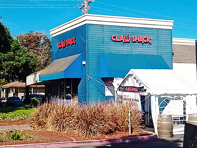 Blue-gray exterior with a vibrant blue awning, the Claw Shack stands unassumingly on Berryessa Road like a secret seafood clubhouse waiting to be discovered.